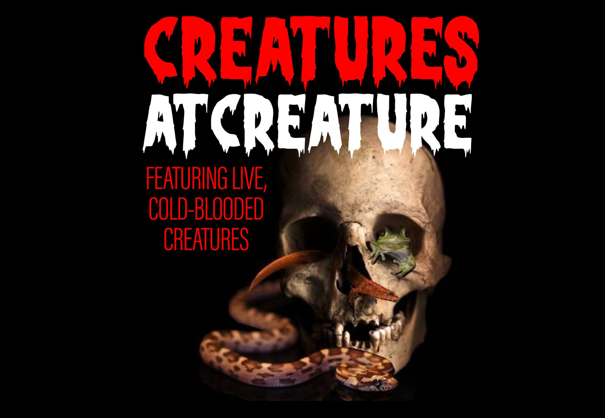 Creatures at Creature - Creature Comforts